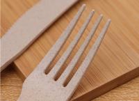 China 175mm Organic Wheat Fiber Disposable Knife Cutlery Eco Friendly For Travel for sale