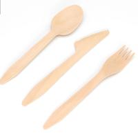 China 160 mm 100% biodegradable disposable natural wooden knife fork spoon napkin pepper with salt set for home and kitchen for sale