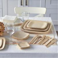 China 10 Inch Eco Friendly Compostable Square Shaped Bamboo Plate For Restaurant for sale
