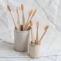 China 18*2.5 Cm Bamboo Toothbrushes Good For Oral Environment For All Kinds Of People for sale