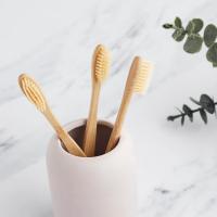 China 18*2.5 Cm Bamboo Toothbrushes Good For Oral Environment For All Kinds Of People for sale