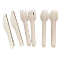 China 6'' Sugarcane Bagasse White Compostable Biodegradable Knives Forks for sale