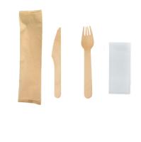 China 3 In 1 Compostable Disposable Wooden Utensils Cutlery Kit 160mm for sale