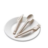 China Eco Friendly Compostable Cutlery Plant Based Sugarcane Bagasse Pulp Knife for sale