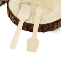 China 95mm Biodegradable Nature Disposable Cutlery Mini Dessert Ice Cream Wooden Spoon for sale