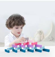 China Balance 48pcs Colored Wooden Domino Blocks Stacked Rainbow Educational Toys for sale