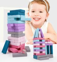 China Balance 48pcs Colored Wooden Domino Blocks Stacked Rainbow Educational Toys for sale