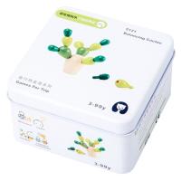 China Early Learning Portable Plan Toys Building Blocks Magnetic Wooden Building Blocks for sale