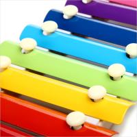 China 8 Notes Piano And Xylophone Toy With Wooden Frame for sale