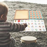 China Memory Match Chess Kids Toys Early Education for Preschool Family Boys Girls for sale