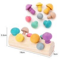 China Kids Wooden Mushroom Picking Toys Rainbow Blocks DIY 3D for sale