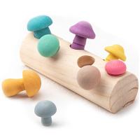 China Wooden Rainbow Blocks Mushroom Picking Game Montessori Educational for sale
