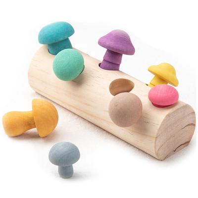 China Wooden Rainbow Blocks Mushroom Picking Game Montessori Educational for sale