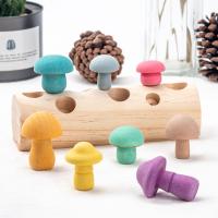 China Wooden Rainbow Blocks Mushroom Picking Game Montessori Educational for sale