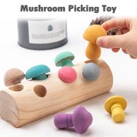 China Wooden Rainbow Blocks Mushroom Picking Game Montessori Educational for sale