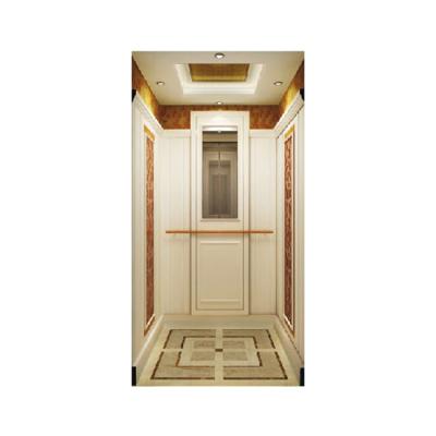 China Smart Villa Home Elevator for Elderly 450-1600KG Capacity 4m/s Speed with Air Purification System for sale