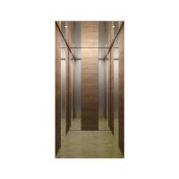 China Classic Residential Villa Elevator 13 Persons 1000kg Capacity with VVVF Drive and Air Purification System for sale