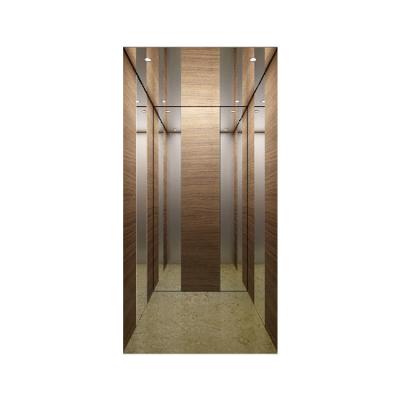 China Classic Residential Villa Elevator 13 Persons 1000kg Capacity with VVVF Drive and Air Purification System for sale