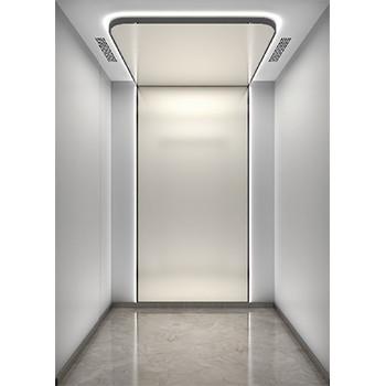 China Stainless Steel Traction Home Elevator for Villas - Compact 2-4 Person Capacity with Advanced Mute Technology for sale
