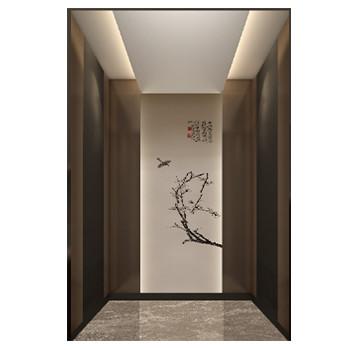 China Small Hoistway Home Villa Elevator Lift 1 - 5m/s 450 - 1600Kg for sale