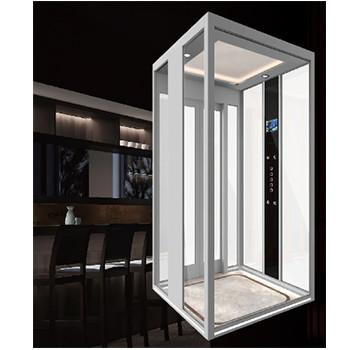 China Customizable Electric Traction Home Villa Elevator Lift Without Machine Room for sale