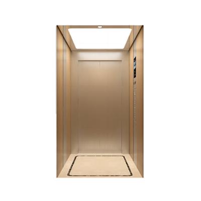 China Private Residential Lift Elevator 260-400kg Capacity 0.4m/s Speed Vertical Traction Home Villa Passenger Elevator for sale