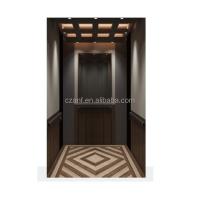 China Customized Low Noise Villa Passenger Elevator Space Saving Home Lift Indoor Outdoor Residential Lift for sale
