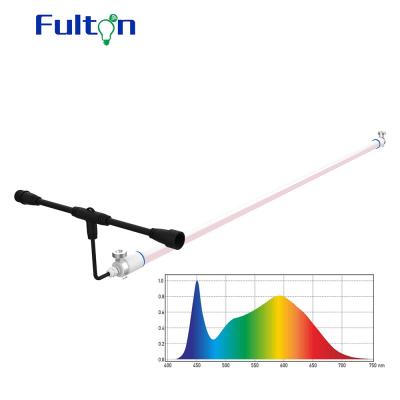 China Hydroponics System LED Vegetable Grow Lights Solution For Medical Plant for sale
