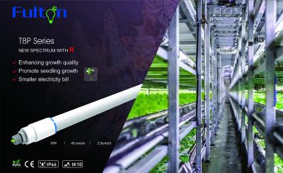 China T8P Vertical Grow Light Tube Lightweight And Small 2.65umol / J 22W for sale