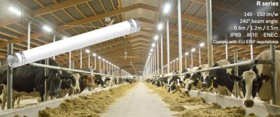 China Poultry Farm R Series LED Tri Proof Light 240 Degrees Ammonia Corrosion Resistance for sale