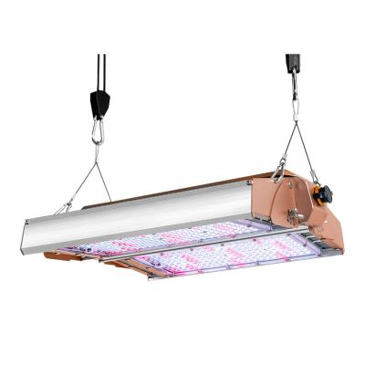 China HPS Replacement Full Spectrum LED Grow Lights 340W For Green House for sale