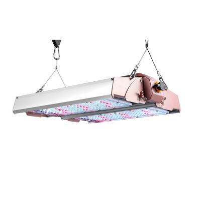 China Dimmable Full Spectrum LED Grow Lights For Green House Vegetable Flowers AC277V for sale