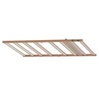 China Champagne Gold Color Indoor Full Spectrum LED Grow Light For Commercial Indoor Plant Grow for sale