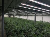 China 1200w Indoor Grow Lights Growers Republic 120 Degree Beam Angle for sale