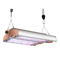 China 2x2ft Full Spectrum LED Grow Light long lasting life for indoor gardening for sale