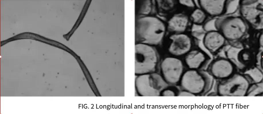 How to identify spandex, PTT and T-400 these three elastic fibers?