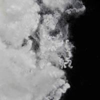 China Virgin Hollow Conjugated Polyester Staple Fiber 3D 64mm White GRS Certified Eco-Friendly Filling Material for sale