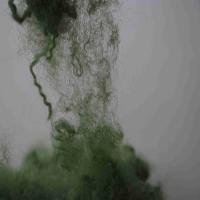 China Hollow Conjugated Polyester Staple Fiber 15D x 51mm GRS Certified Eco-Friendly Thermal Insulation Material for sale