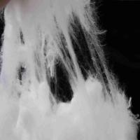 China ES Fiber 1.8D × 38mm Fire Retardant Bicomponent Water Absorbent Fiber for Nonwoven Applications for sale