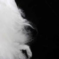 China ES Fiber 1.8D × 38mm Fire Retardant Bicomponent Water Absorbent Fiber for Nonwoven Applications for sale