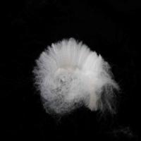 China ES Fiber 1.8D × 38mm Fire Retardant Bicomponent Water Absorbent Fiber for Nonwoven Applications for sale