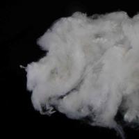 China 3.33D x 51mm Fireproof Polyester Staple Fiber - GRS Certified Flame Retardant Material for Non-Woven Fabrics for sale