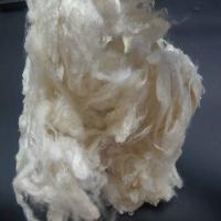 China 3D×51mm Natural Mugwort Fiber with GRS Certification - High Moisture Absorption & Antibacterial Properties for Textile Manufacturing for sale