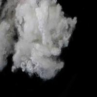 China 7D Flame Retardant Hollow Conjugated Polyester Fiber 64mm Length with GRS Certification for Fire Safety Applications for sale