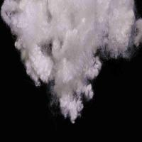 China Hollow Conjugated Polyester Staple Fiber 7D × 64mm - GRS Certified Virgin Material for Thermal Insulation for sale
