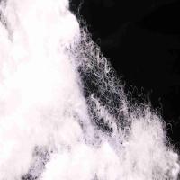 China Virgin Hollow Polyester Fiber 64mm 20D Flame Retardant Staple Fiber with GRS Certification for Thermal Insulation for sale