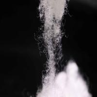 China Virgin Hollow Polyester Fiber 64mm 20D Flame Retardant Staple Fiber with GRS Certification for Thermal Insulation for sale