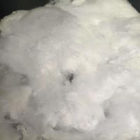 China Virgin Conductive Polyester Staple Fiber 2.2D-2.5D White with 109 Ω/cm Resistance for Textile Manufacturing for sale