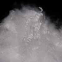 China White Polyester Staple Fibers 51mm 0.8D GRS Certified Microfiber for Pillow Filling and Bedding for sale