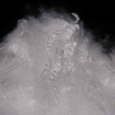 China White Polyester Staple Fibers 51mm 0.8D GRS Certified Microfiber for Pillow Filling and Bedding for sale